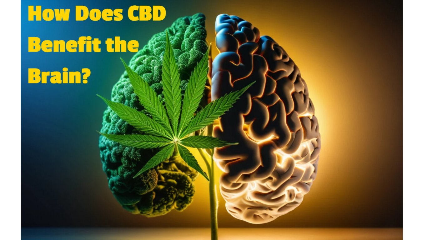 CBD Benefits for the Brain: 7 Powerful Ways to Enhance